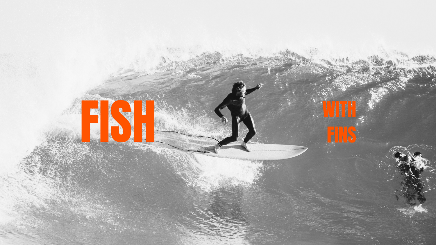 FISH WITH FINS – Christenson Surfboards Australia